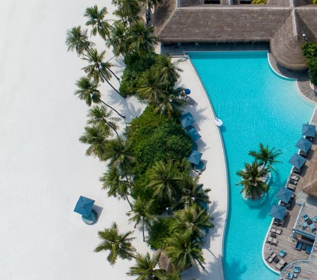 Marasca | In the Press