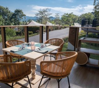 Marasca | Tree Top | tea house & farmer's cafe