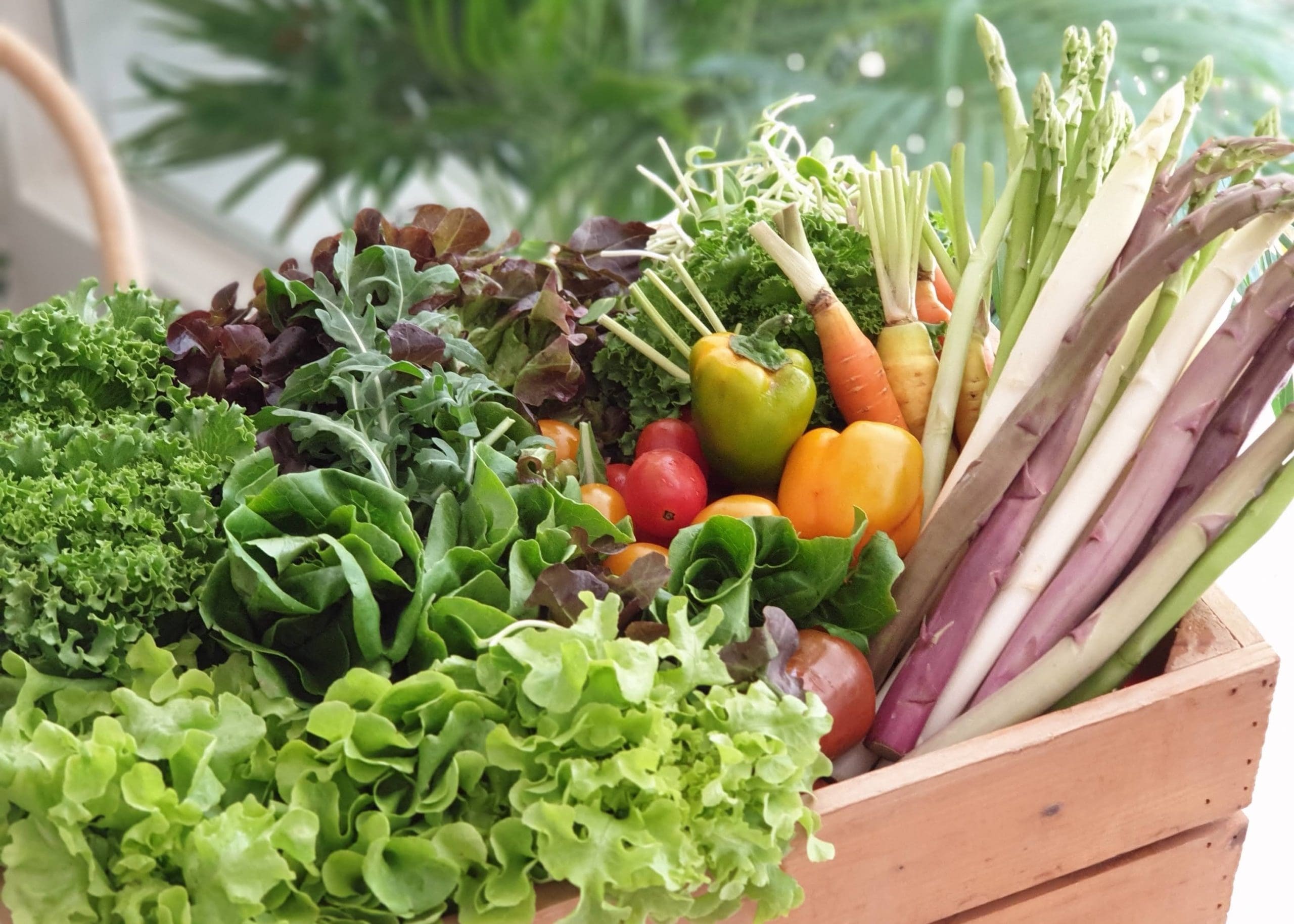 Marasca | Mindfully Curated. Locally Produced