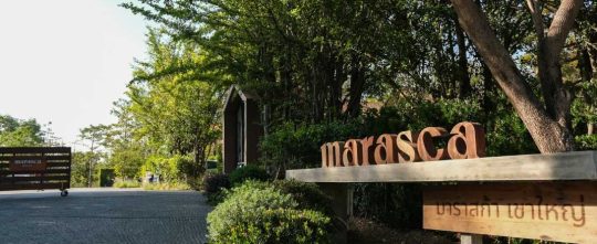 Welcome to Marasca Resorts - Samui & Khao Yai