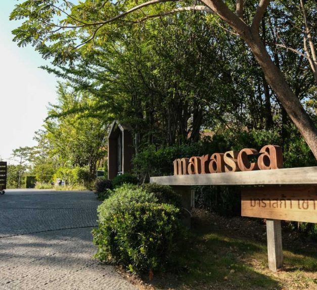 Welcome to Marasca Resorts - Samui & Khao Yai