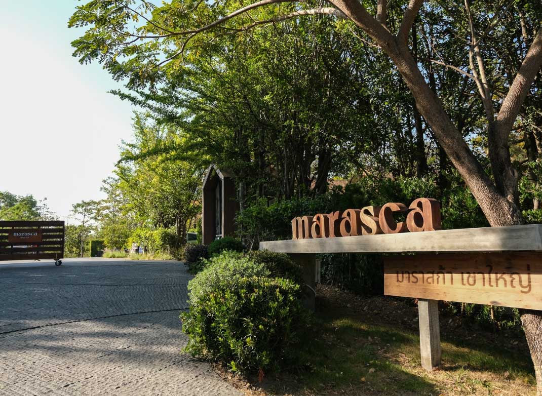 Marasca | Marasca Care